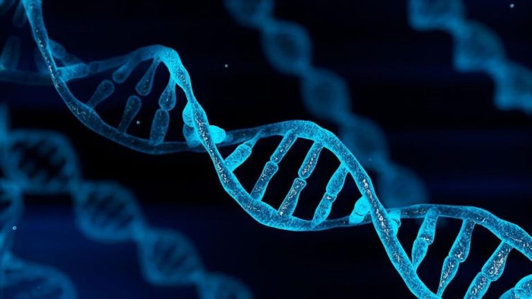 DNA-based Neutralisers Could Detect and Inhibit a Wide Range of Viruses ...